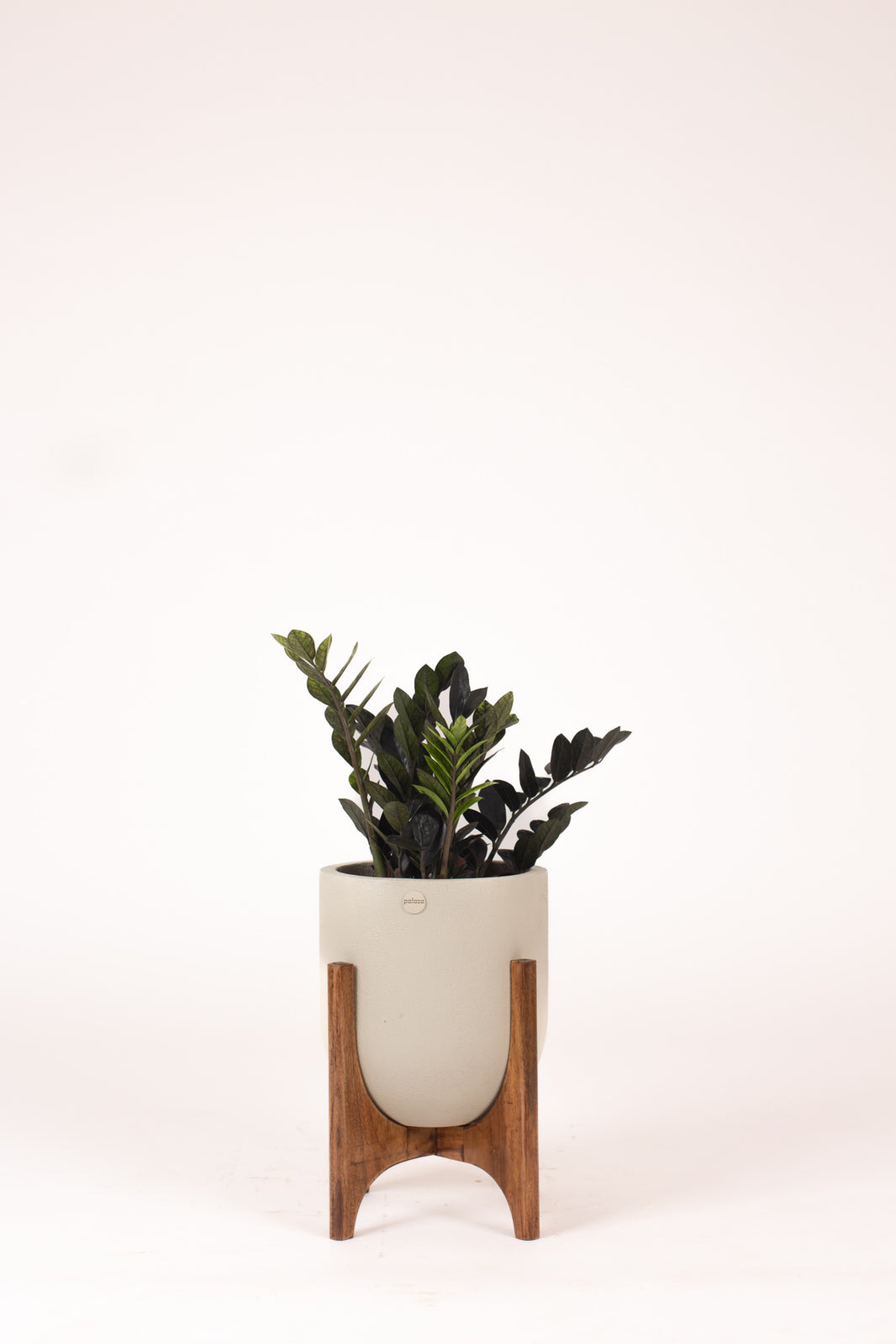 Buy Indoor Planters with Stands Online in India | Palasa