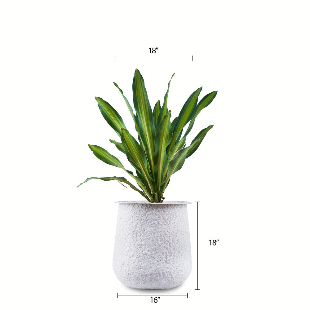 Aquila Round Planter White Coral Finish