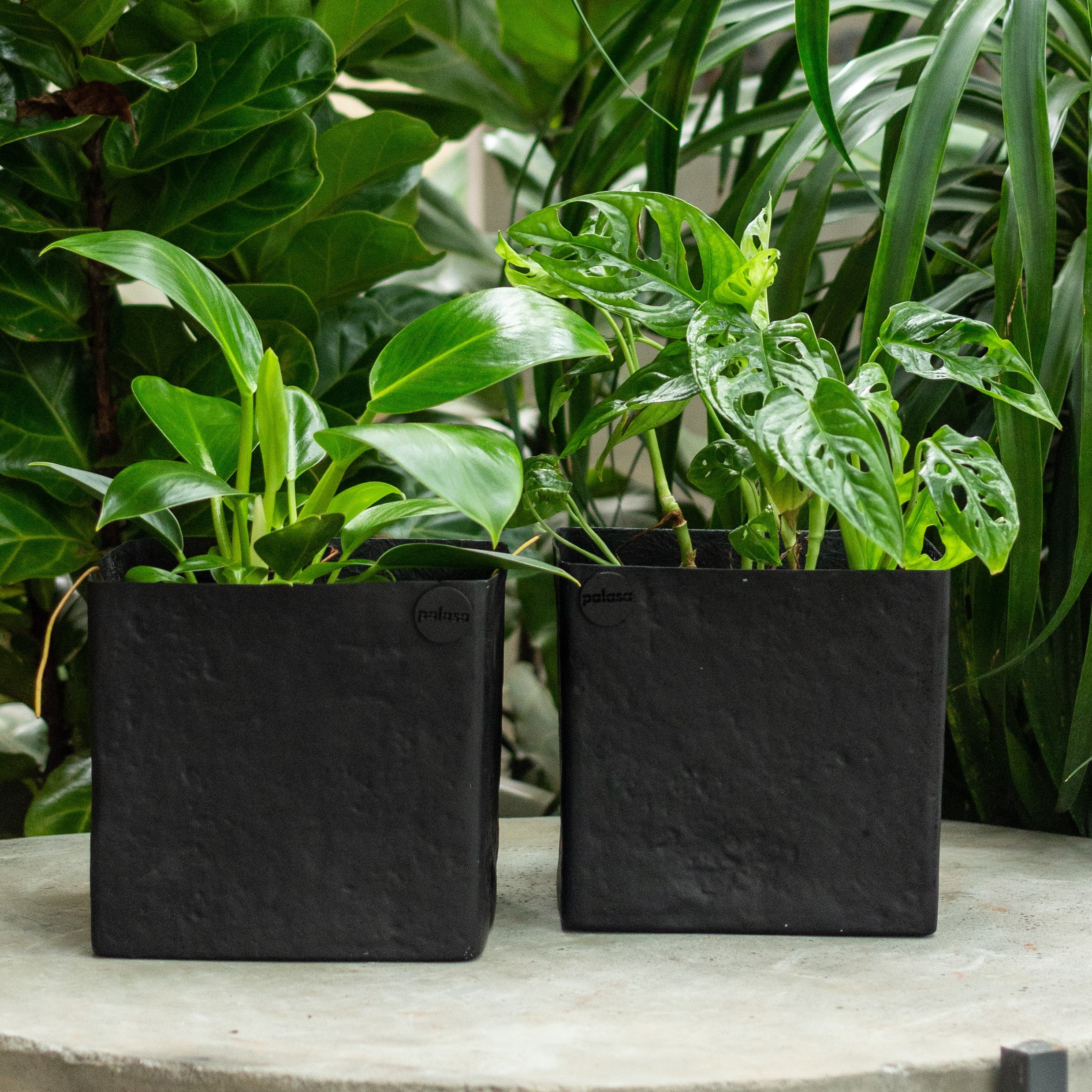 Black Slate Desk Planter Pot