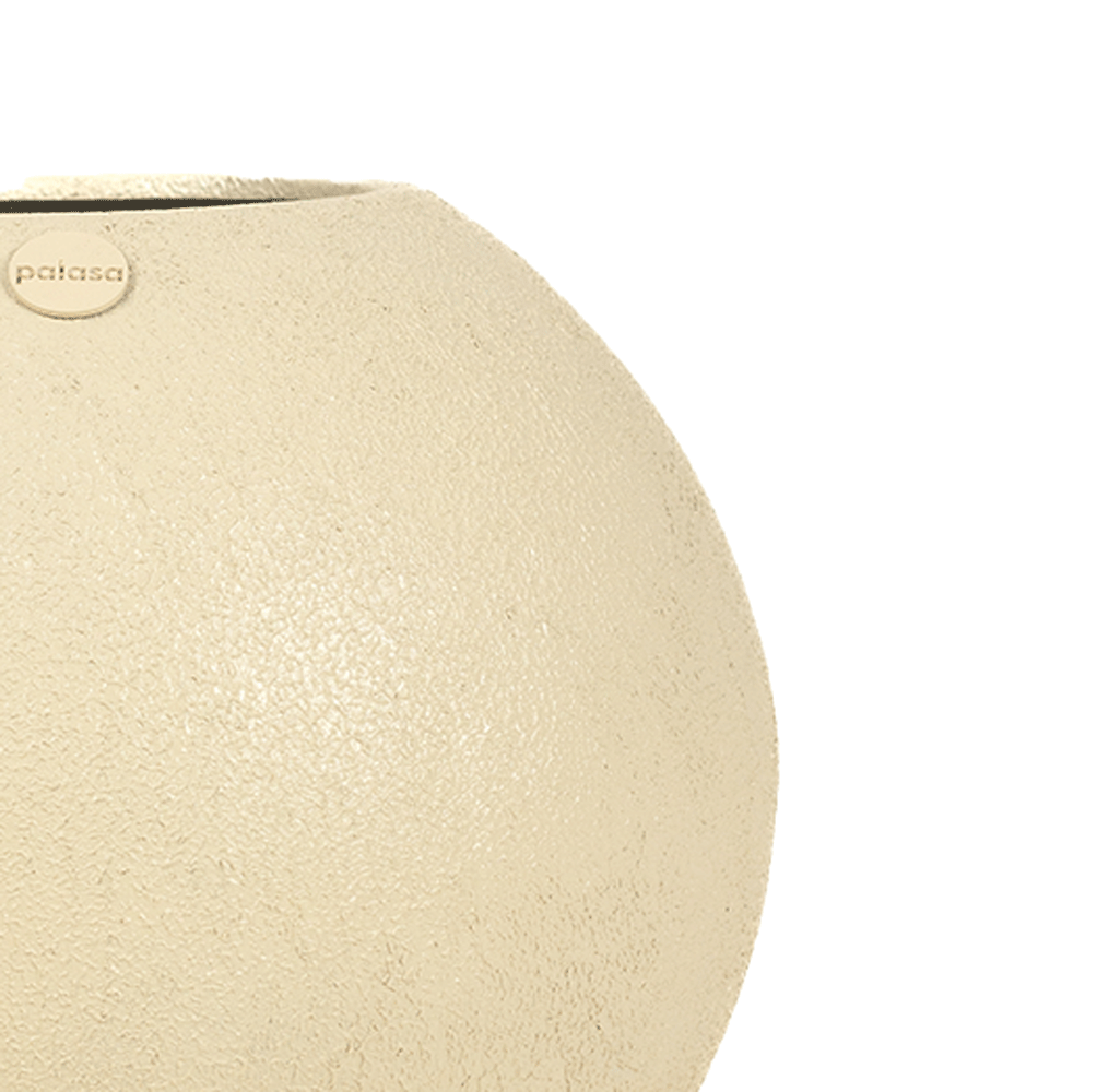 Saturn Planter with Cosmos Planter Combo Set