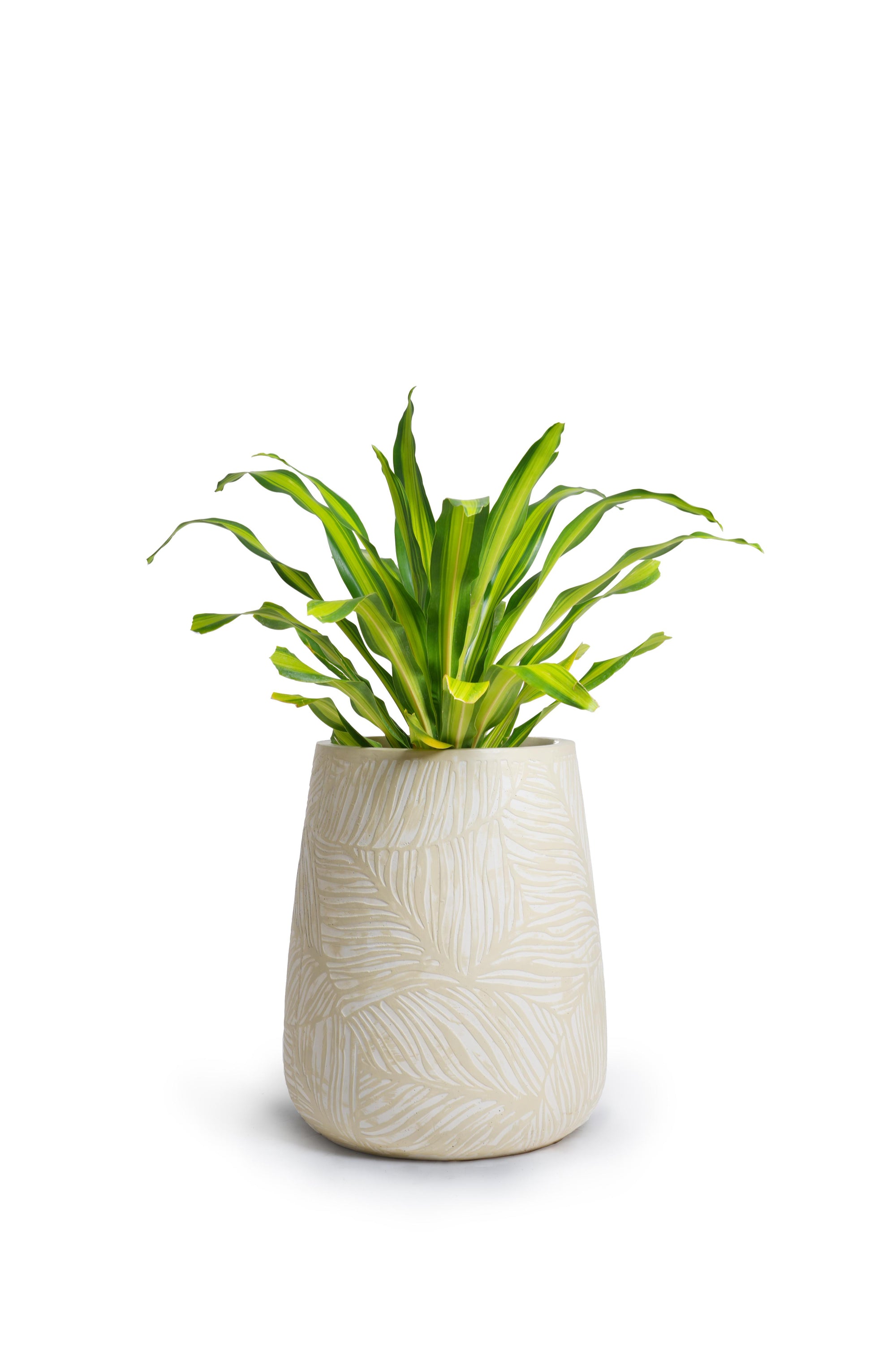 The T-Antique Floor Planters by Palasa are designed to bring elegance ...