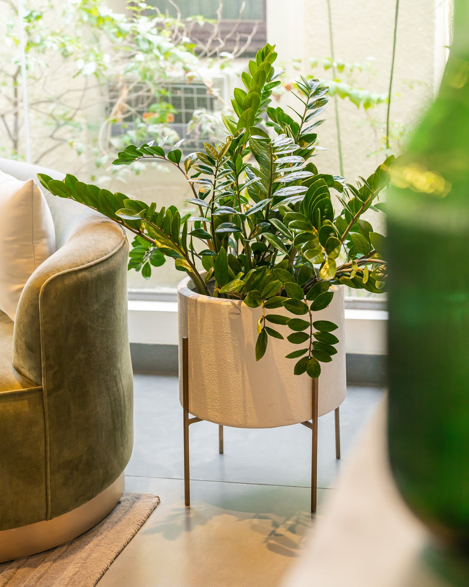 Studio Palasa - Online Planters & Pot Store India - Home | Garden