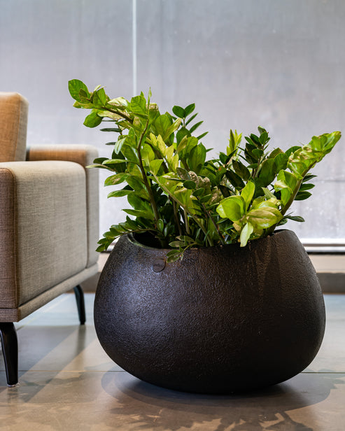 Clover FRP Planter Pots