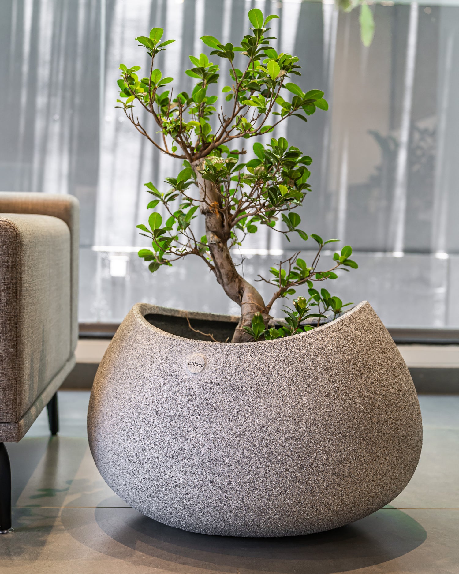 Buy Premium Decor Accents Online in India | Palasa