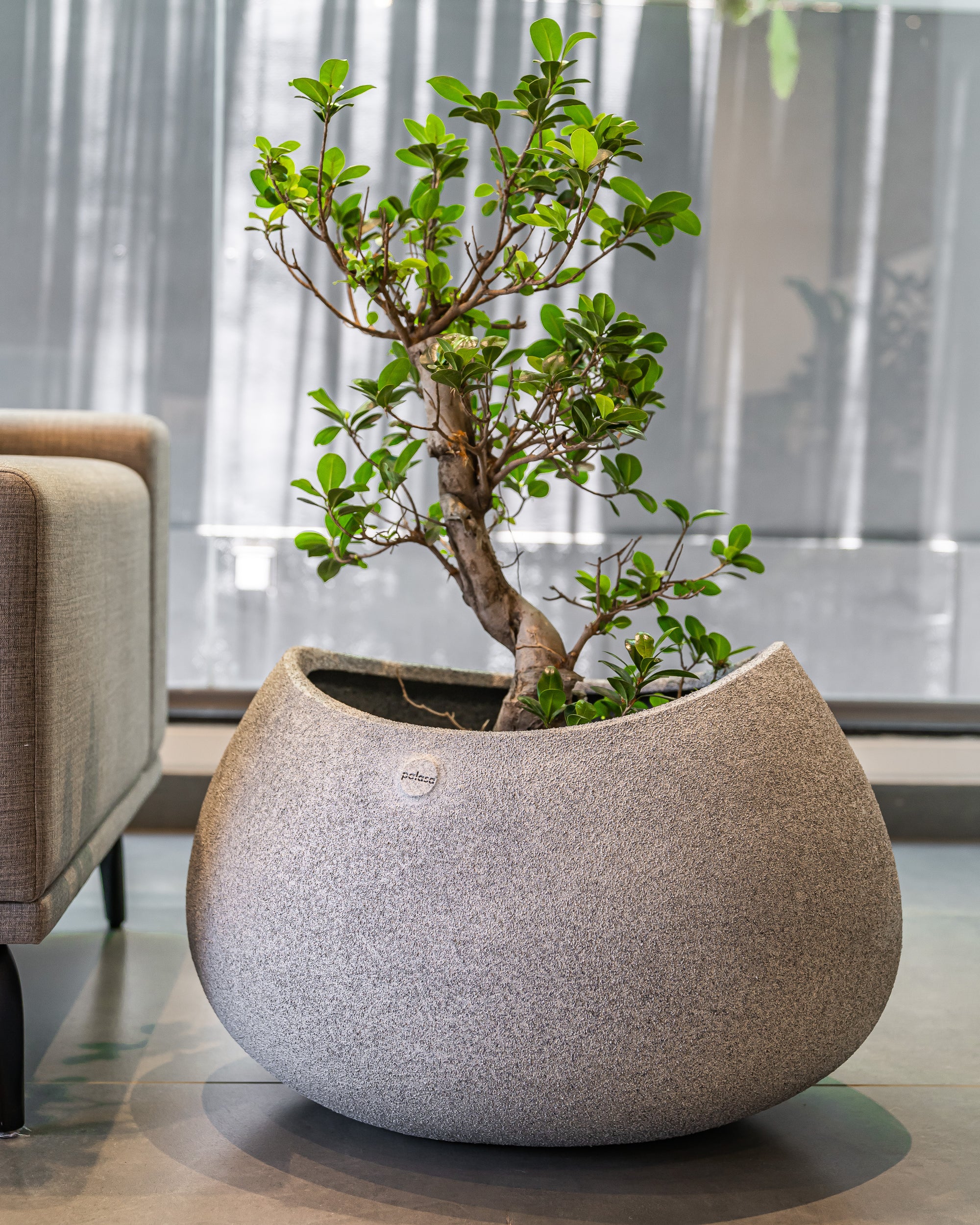 Studio Palasa - Online Planters & Pot Store India - Home | Garden