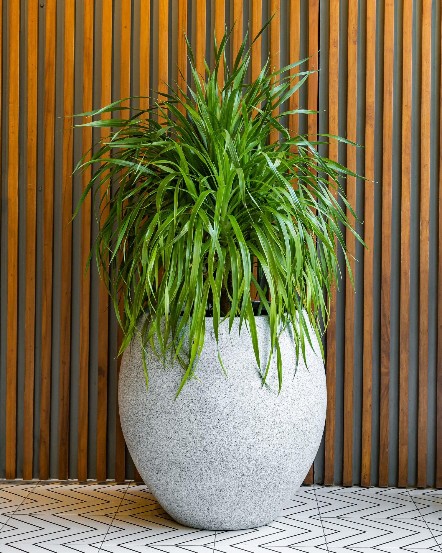Studio Palasa - Online Planters & Pot Store India - Home | Garden