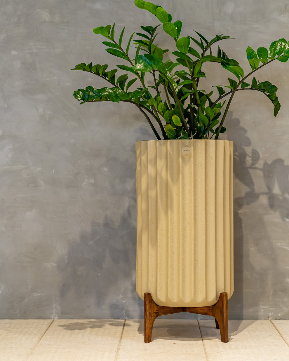 Ribbed Pot with Wood Stand | Palasa Planters Online