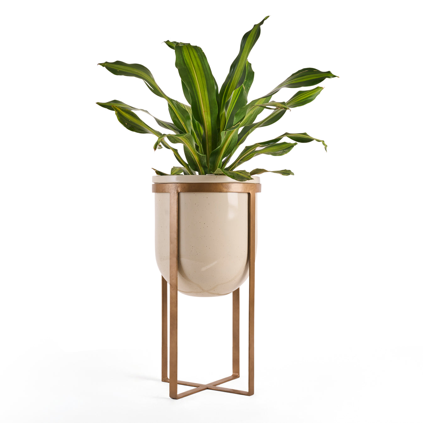 Lipto Beige Planter pot with Metal Stand | Studio Palasa
