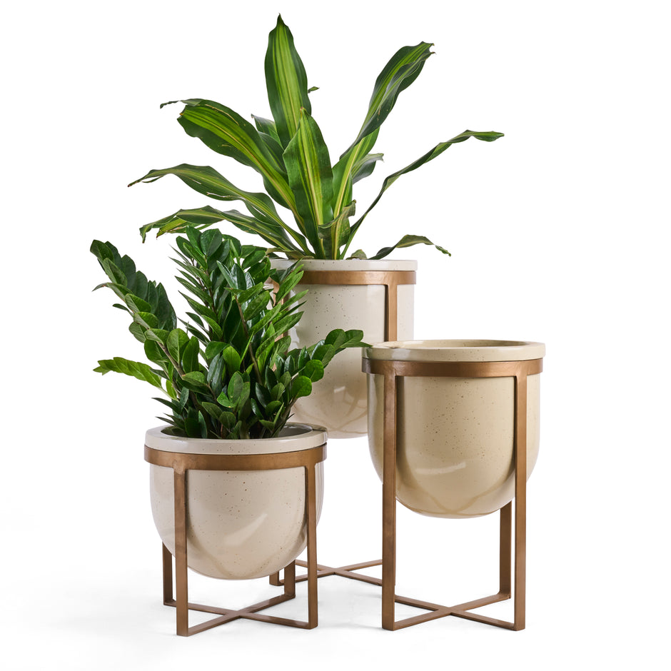 Palasa's Best Selling Planters | Palasa Pots