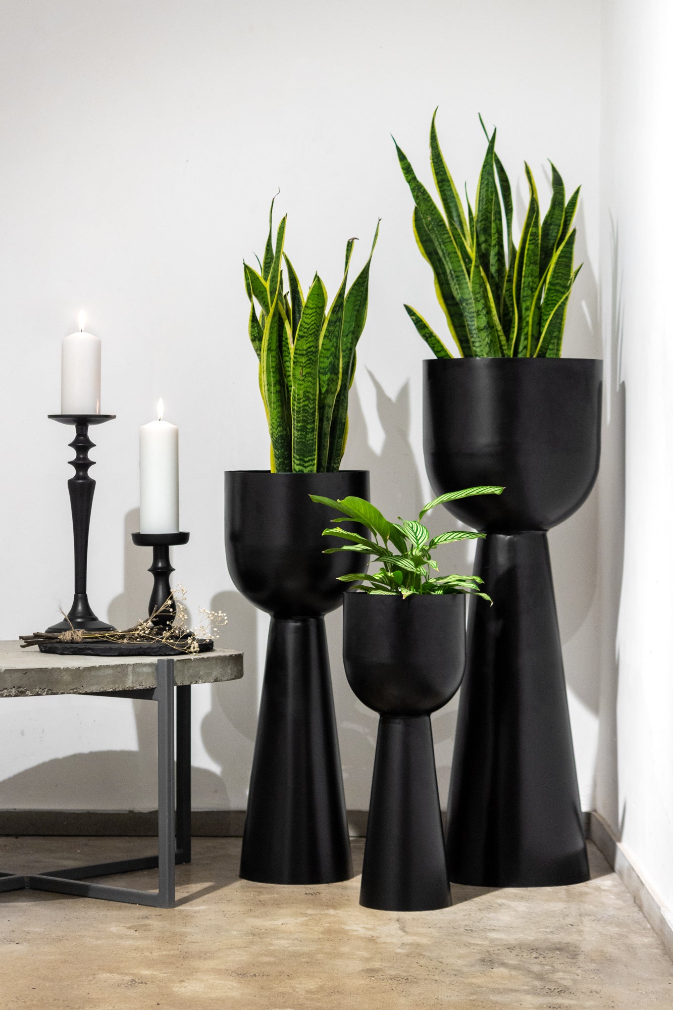 Black Metal Planter Online Bangalore India| Studio Palasa