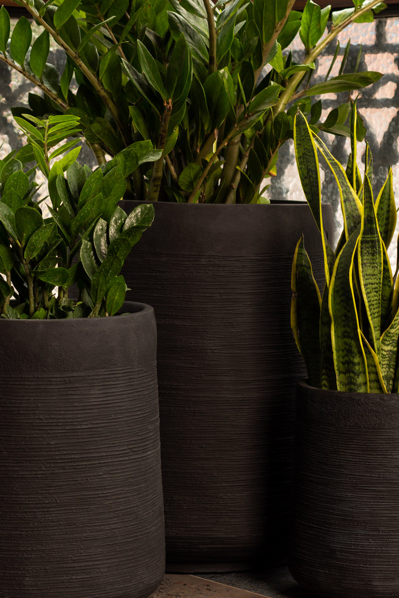 Buy GRC Black Planter Pots Online in India | Palasa Planters