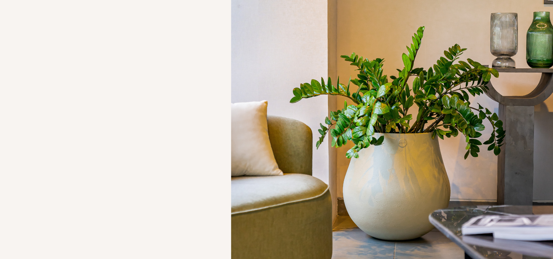 Studio Palasa - Online Planters & Pot Store India - Home | Garden