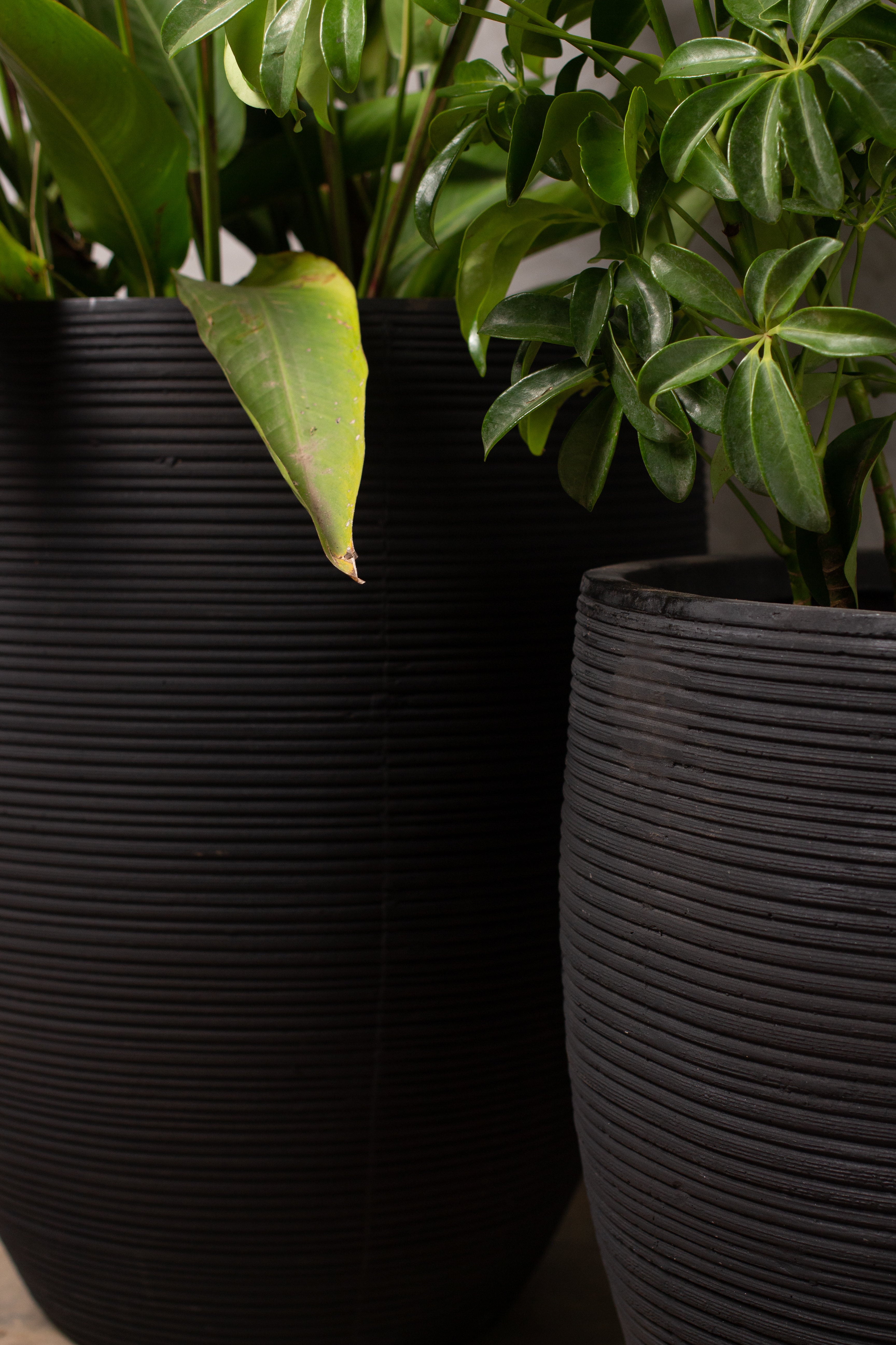 GRC Planters Palasa Planter pots | Palasa Planters
