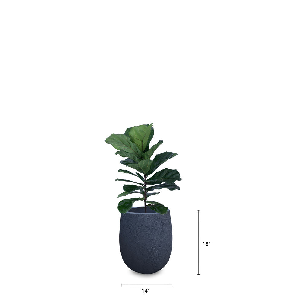 Buy FRP Floor Planter Online in India | Palasa Bangalore