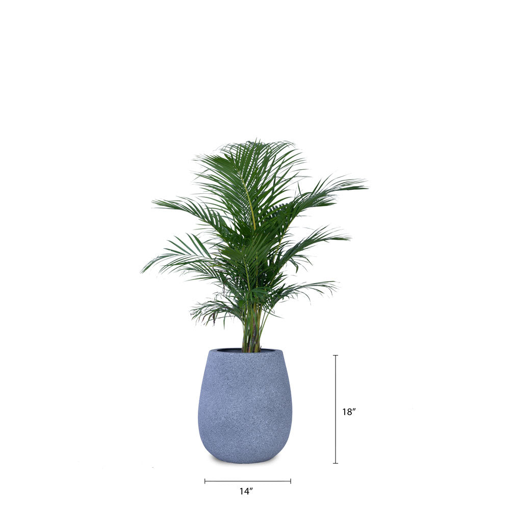 Buy FRP Floor Planter Online in India | Palasa Bangalore