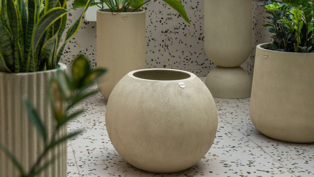 Buy Premium Large Planters Collection Online India | Palasa Planters
