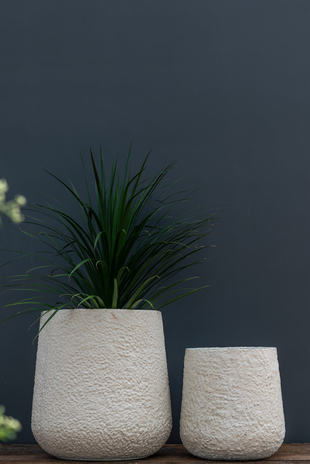 Rough Finish Planters