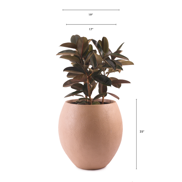 Studio Palasa - Online Planters & Pot Store India - Home | Garden