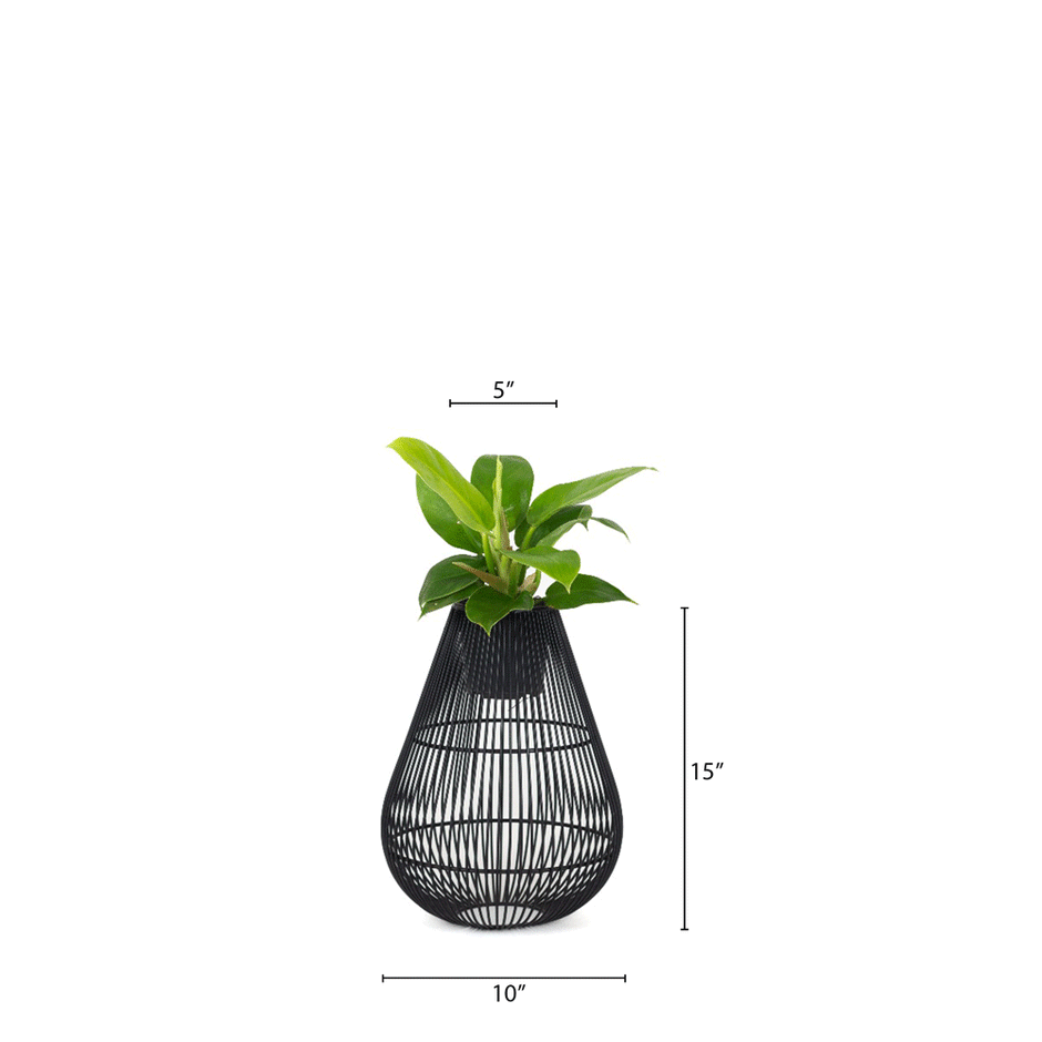 Studio Palasa - Online Planters & Pot Store India - Home | Garden