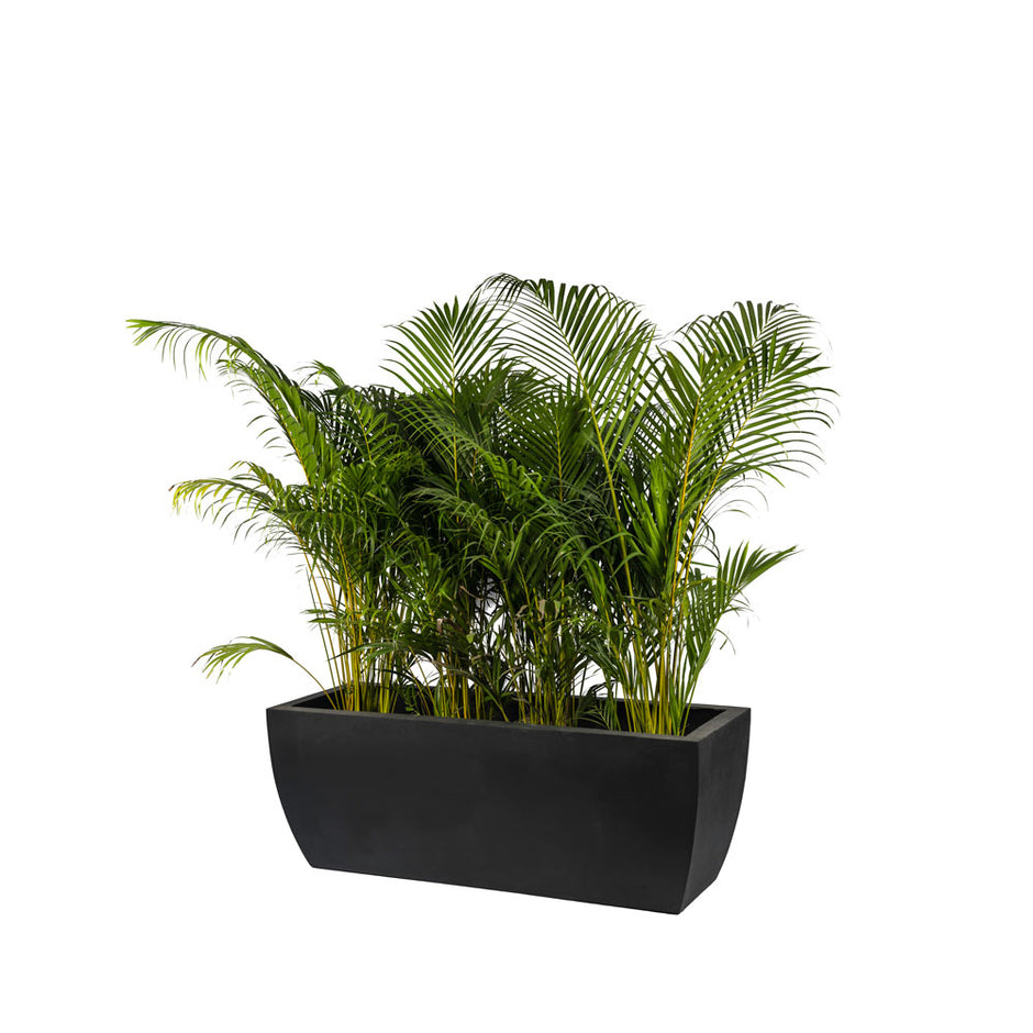 Rectangular Planters - Buy Premium Rectangular Planters Online in India ...