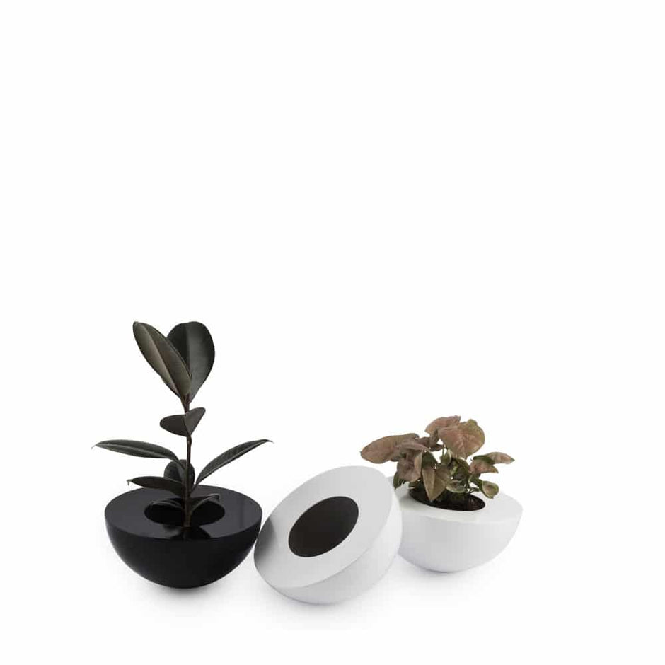 Buy Premium Flower Planters Online in India | Palasa