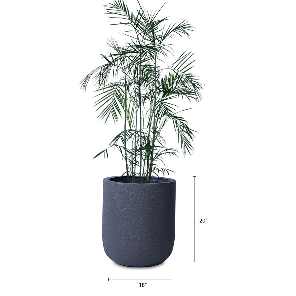 Buy Large FRP Planters Online in India | Palasa Bangalore