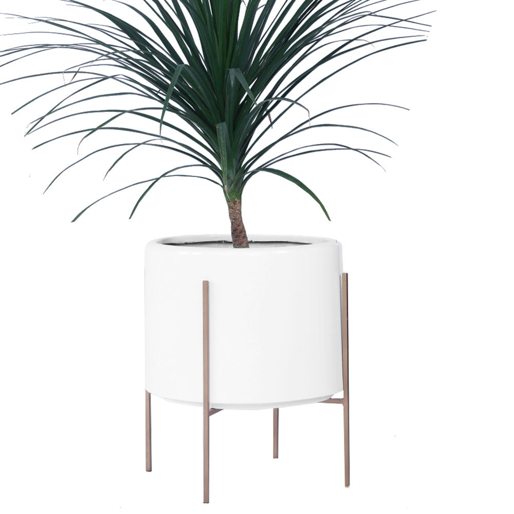 Buy Whirlpool Planter With Metal Stands Online in India | Palasa