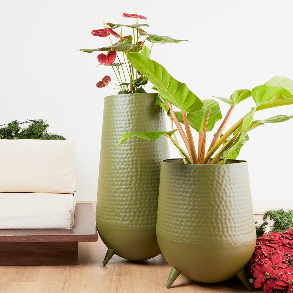 Buy Premium Decor Accents Online in India | Palasa