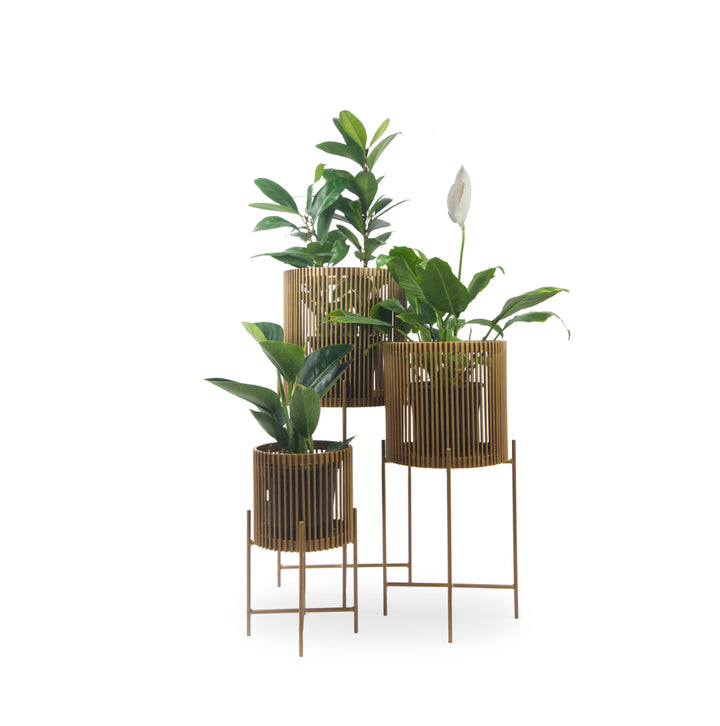 Buy Premium Tall Planters Online in India | Palasa